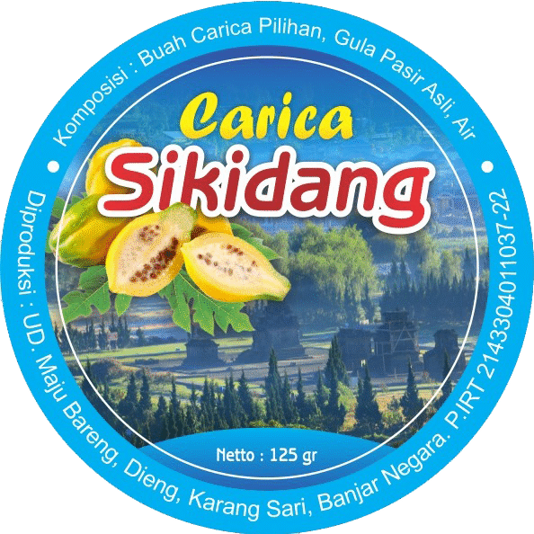 Home - caricasikidang.com